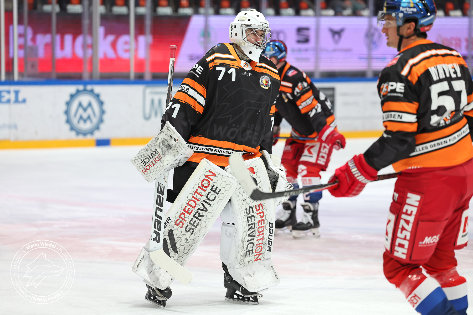 Selber Wölfe vs. Höchstadt Alligators am 28.12.2025 – Selber Wölfe